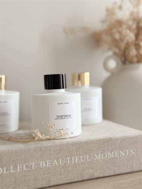 Temptress Diffuser Henry Home