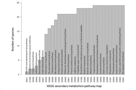 Occurrence Statistic Of Secondary Metabolite Pathways In 24 Kegg