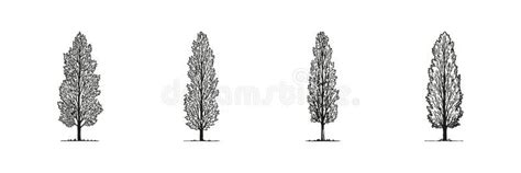 Tall Trees In Monochrome Sketch Side View Set Landscape Design And