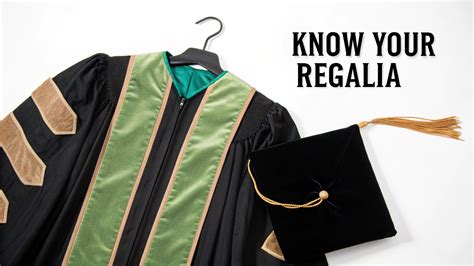 How To Wear Doctoral Regalia The Right Way Gradshop