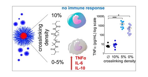 Influence Of Core Cross Linking And Shell Composition Of Polymeric