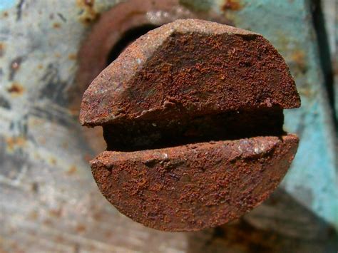Rusted Screw Free Photo Download FreeImages