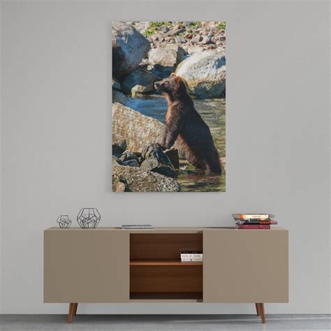 Nice Catch Canvas Grasshopper Geography