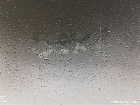 Public Sex In Cars A Definite Turn On Kim Airs Sex Toy Review