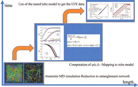 Schematic Illustration Of Our Multi Scale Methodology For Predicting
