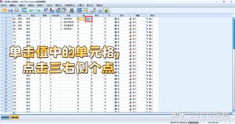 问卷数据分析spss之数据导入及变量设置 知乎