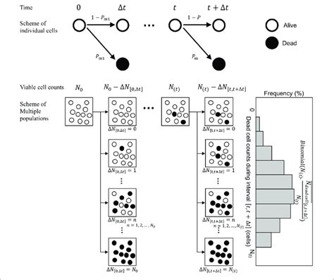 Schematic Of The Markov Chain Monte Carlo Mcmc Procedure The