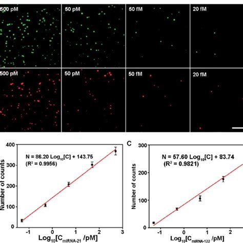 Pdf Simultaneous And Ultrasensitive Detection Of Multiple Micrornas