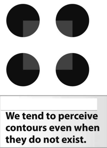 Week 3 Perceptual Organization And Object Recognition Flashcards Quizlet
