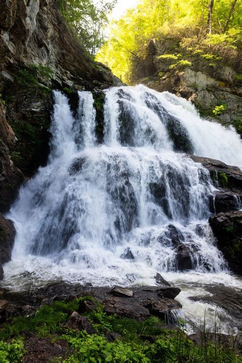 Hike Through A Rain Forest Filled With Waterfalls At Gorges State Park