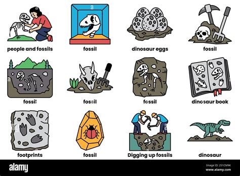 Fossil Is A Picture Of A Dinosaur People And Fossils Are A Picture Of