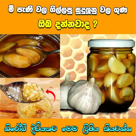 Isiwara මී පැණි වල ගිල්ලපු සුදුලුනු වල ගුන මී පැණි වල ගිල්වපු සුදුලූණු වල ඇති අරුම පුදුම ගුණ