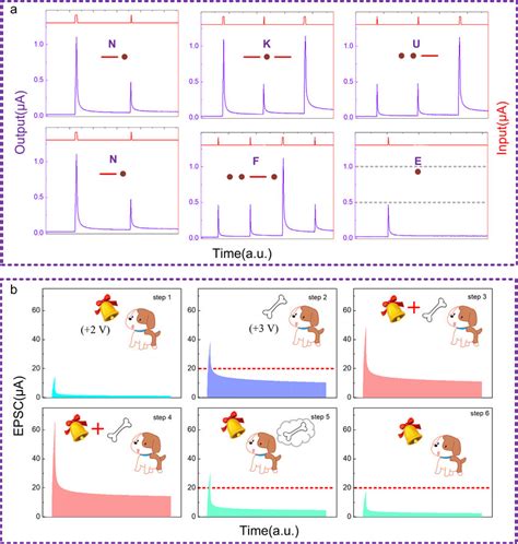 The Application Prospects Of Synaptic Devices In Information Download Scientific Diagram