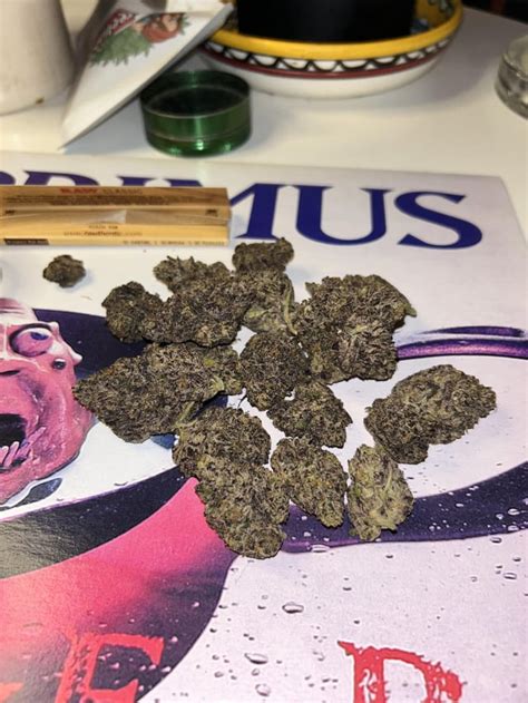 sherb cream pie small batch absolute gas r nyctrees