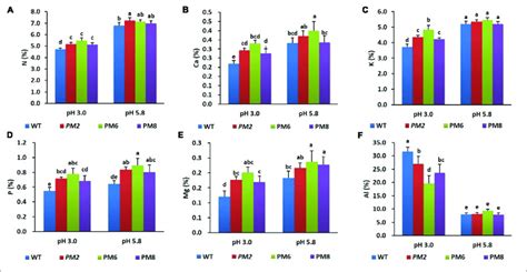Comparison Of Nutrient Uptake A N B Ca C K D P E