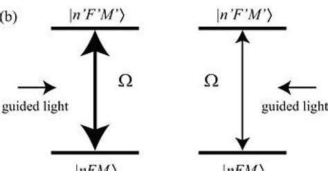 Light Medium Okinawa Institute Of Science And Technology Oist