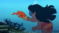 Lilo Y Stitch Pudge Lilo And Stitch Disney Lilo And Stitch Pudge Weather