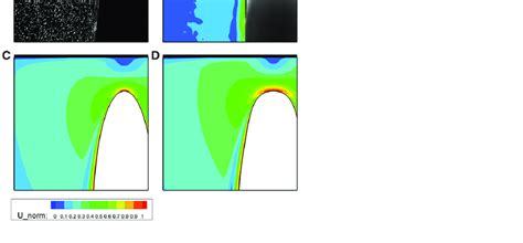 Comparison Of Velocity Fields From Piv And Cfd Models 007 Bl Away