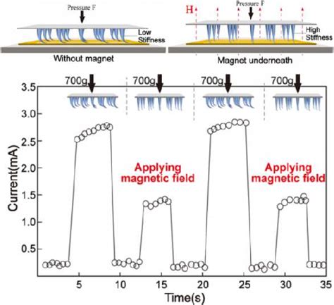 Figure 1 From Influence Of Microstructure Parameters And Magnetic Intensity On Flexible Pressure