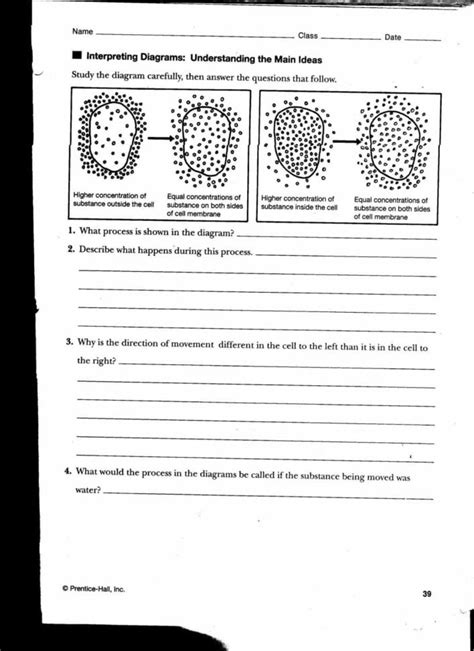 Osmosis And Tonicity Worksheet Answers — Db
