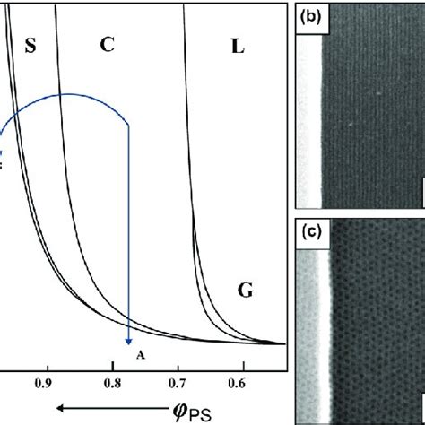 Bcp Morphology Transitions In The Presence Of Solvent A Schematic Download Scientific