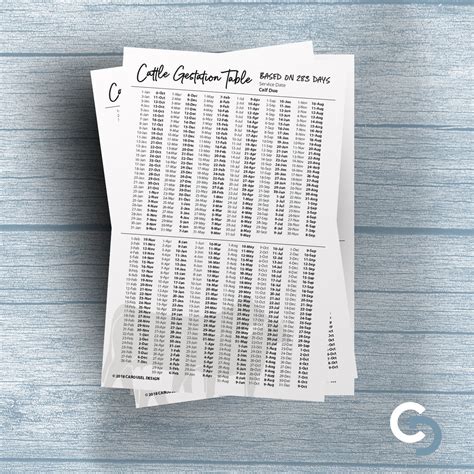 Printable Cattle Gestation Chart 2 Sizes Etsy Singapore