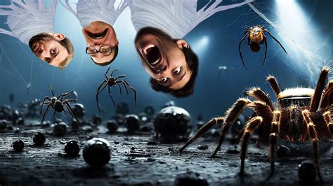 Spider Hell Markiplier Wiki Fandom