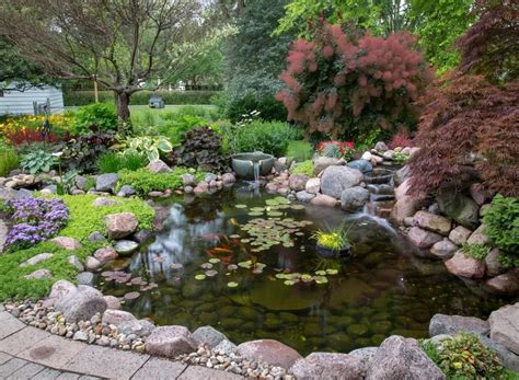 The Pros And Cons Of A Backyard Koi Pond Amen Corner Ponds