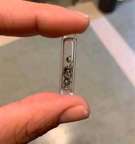 Niluka තනි යුරේනියම් පරමාණුවක විඛණ්ඩනය මඟින් එක් තිරිඟු ඇටයක් චලනය කිරීමට ප්‍රමාණවත් ශක්තියක්