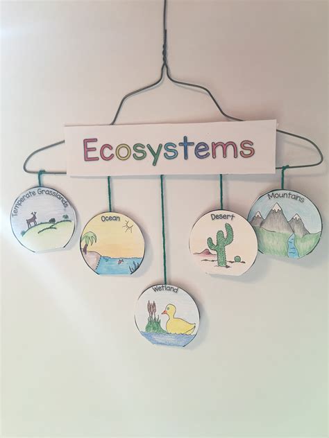 Ecosystems And Biomes Project Ecosystems Mobile And Activity Classful