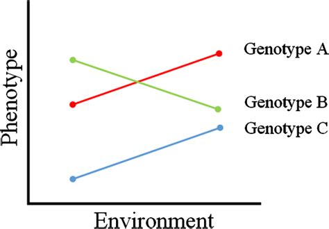 Genotype And Environment Interaction Kang 1997 Download Scientific Diagram