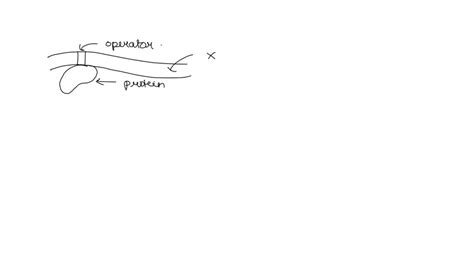 Solved Operator Repressor Protein No Transcription Which Is Activated