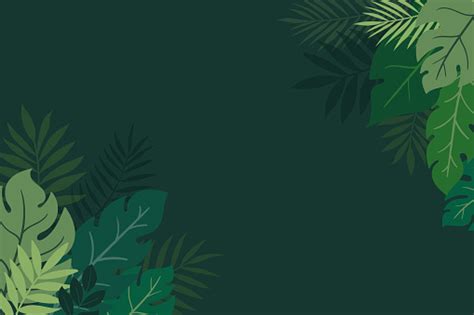여름 열대 지방 야자수 잎 몬스테라 바나나 잎이 있는 녹색 배경 트로피컬 코너 프레임 디자인 녹색 이국적인 정글 배경 판매 배너 광고 엽서 포스터 0명에 대한 스톡 벡터