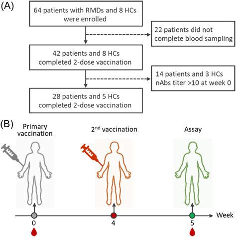 Flow Chart Enrollment Of Rmd Patients And Hcs Receiving Inactivated