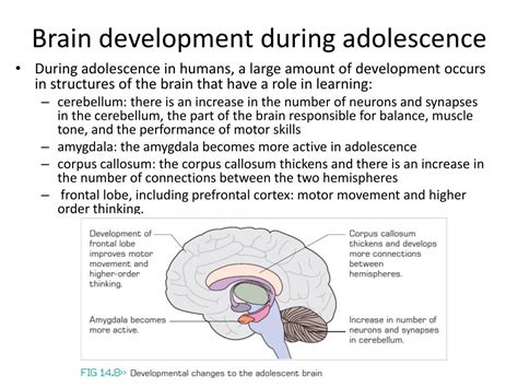 Ppt Learning Dot Point 2 Part A Powerpoint Presentation Free