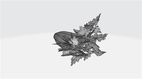 Celery Model Turbosquid 2347323