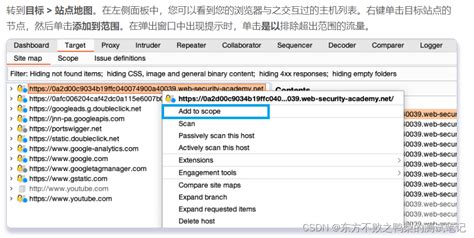 渗透测试工具burpsuite burpsuite重发器 非法主机 csdn博客
