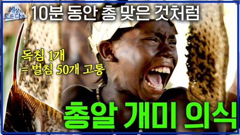 부족의 일원으로 인정받기 위한 의식 10분 동안 총알 개미 수백 마리의 독침을 견뎌야 하는 극한의 고통 견디기 경이로운 자연 그리고 인간 3부 자연과 살아가기