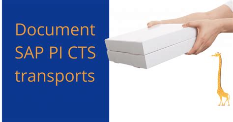 Sap Pi Po Governance Made Easy Figaf