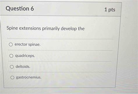 solved question 6 1 pts spine extensions primarily develop the erector