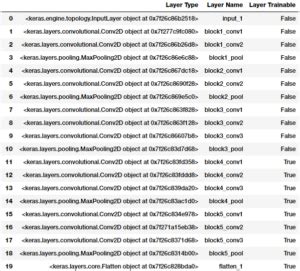 A Comprehensive Hands On Guide To Transfer Learning With Real World Applications In Deep