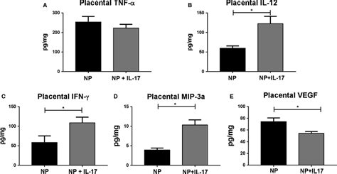 Effects Of Il‐17 Infusion On Placental Cytokines In Pregnant Rats