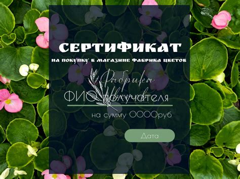 Подарочный сертификат Бегония купить в Санкт-Петербурге