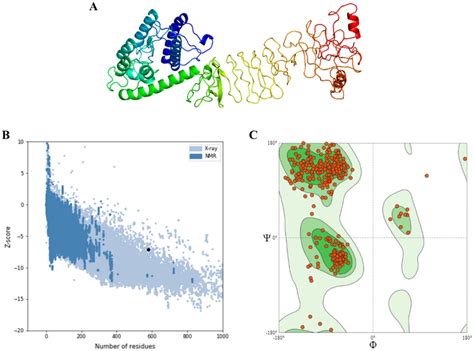 A 3d Structure Of The Final Vaccine B Structure Validation With A