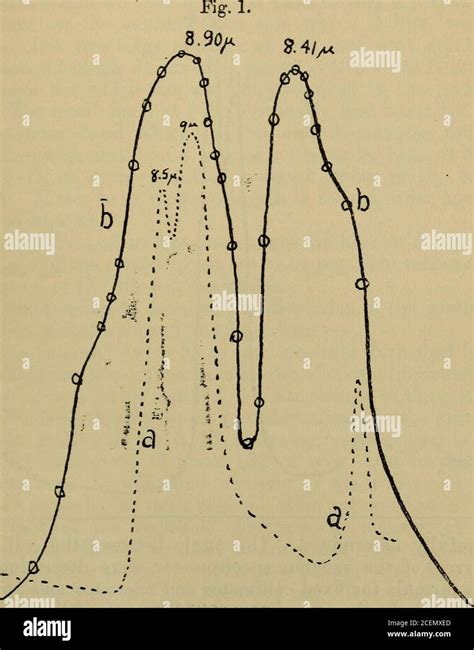 What Is An Absorption Spectrum Apex Unlock The Secrets To