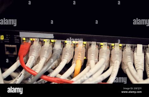 Network Switch Internet Router Ethernet Patch Cord Lan Hardware Server Room Stock Video Footage