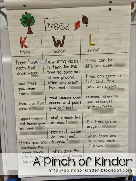A Pinch Of Kinder Tree Inquiry Creative Curriculum Prebabe Tree Study Study Creative