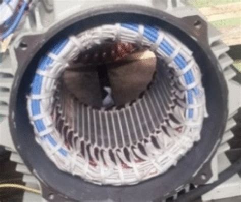 Stator Of A Prototype D132s Bdfim Download Scientific Diagram