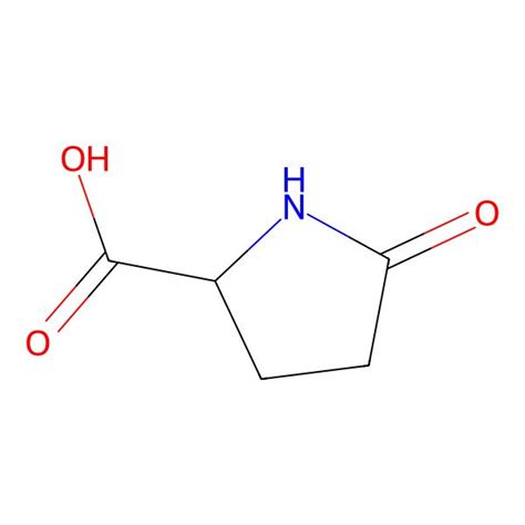 L Pyroglutamic Acid Chemical Compound Plantaedb