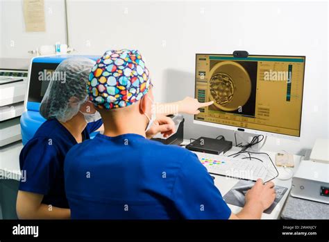 Doctor And Laboratory Assistant Looking At Insemination Process Of The Egg In The Laboratory Of